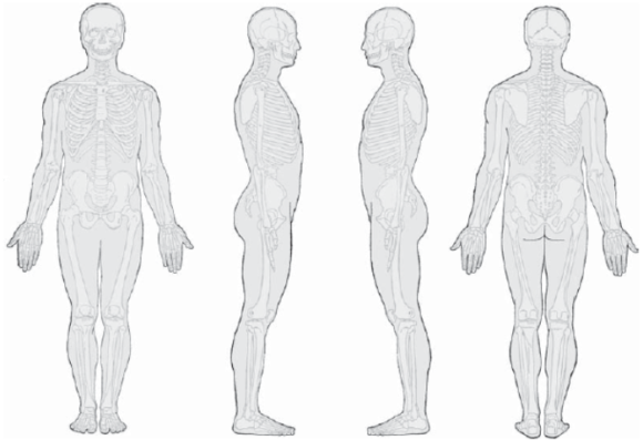pain diagram 4 bodies – Westtown Chiropractic